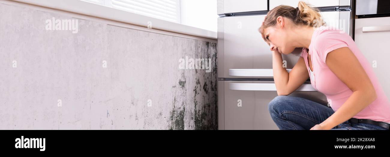Mold Wall Damage At Home. House Moisture Stock Photo - Alamy