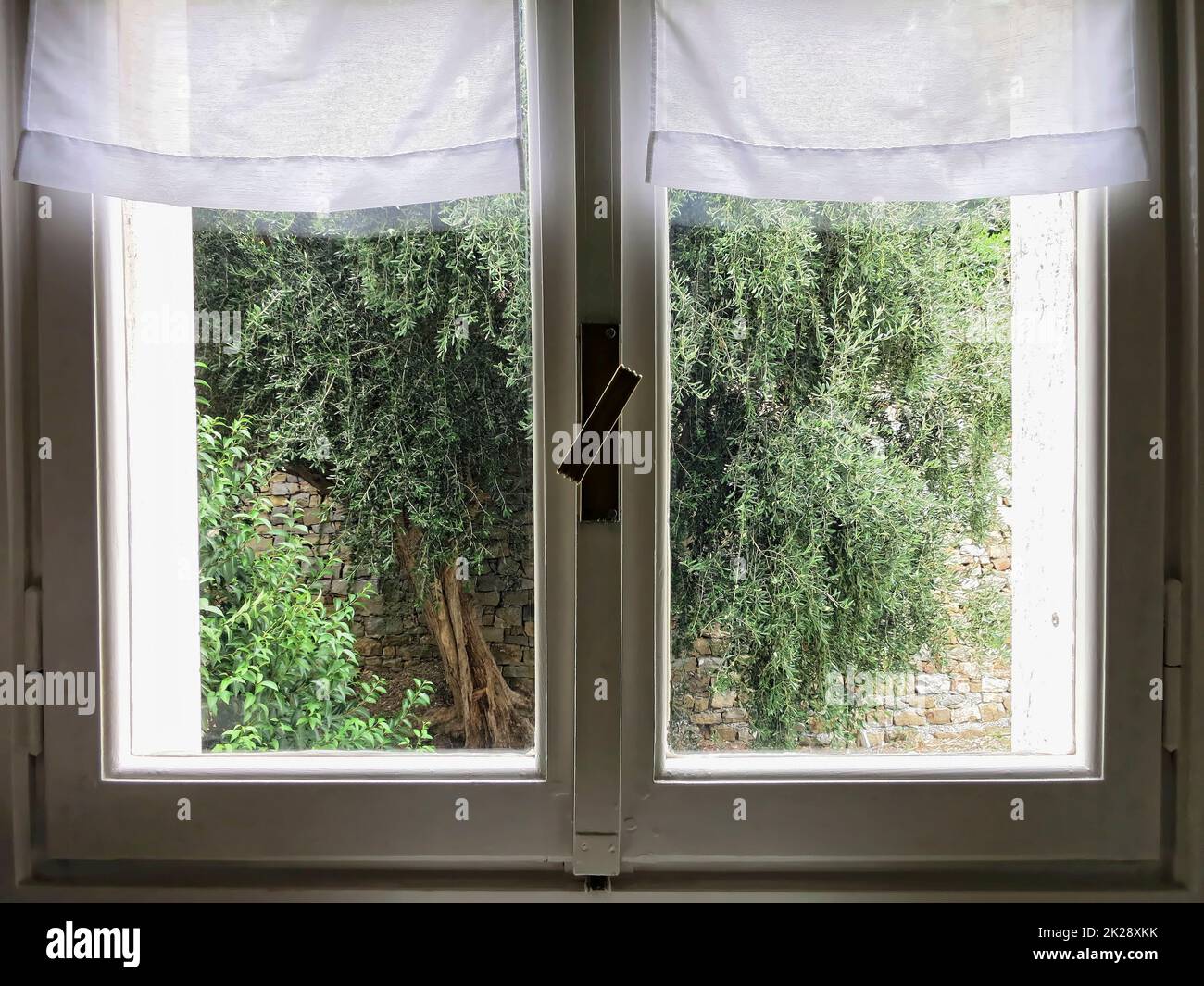 A window overlooking the olive trees Stock Photo - Alamy