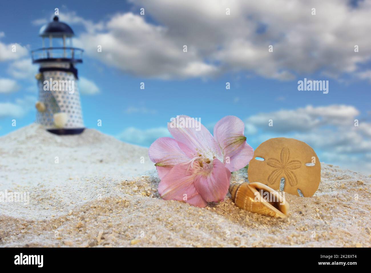 Sea Shells and Flower on Beach With Lighthouse in Background Stock ...