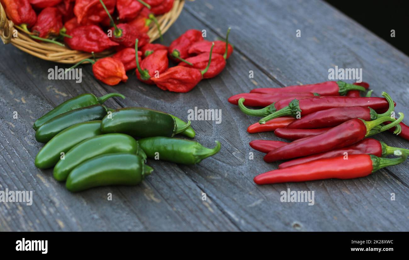 Fresh Peppers outdoors at rural farmers market, Jalapeno, Cayenne and ...