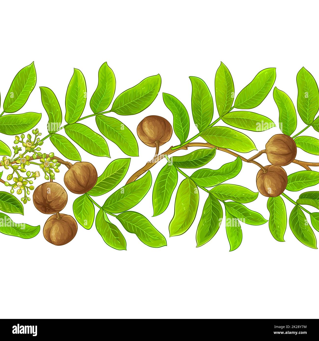 andiroba branches vector pattern on white background Stock Photo - Alamy