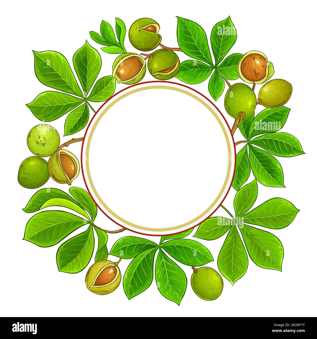 mongongo branches vector frame on white background Stock Photo - Alamy