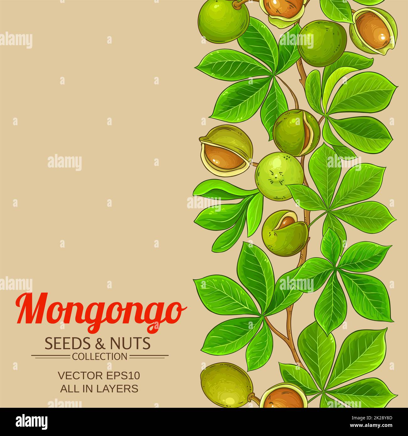 mongongo branches vector pattern on color background Stock Photo - Alamy