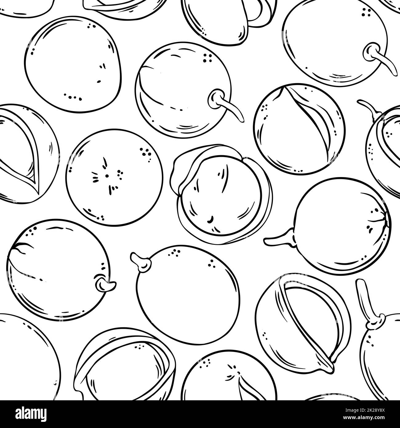 mongongo nuts vector pattern on white background Stock Photo - Alamy