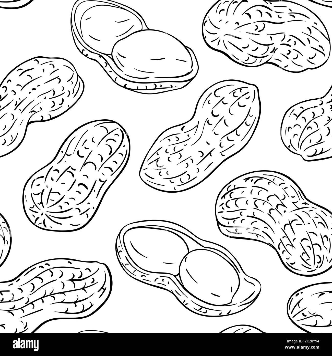 peanut nuts vector pattern on white background Stock Photo - Alamy