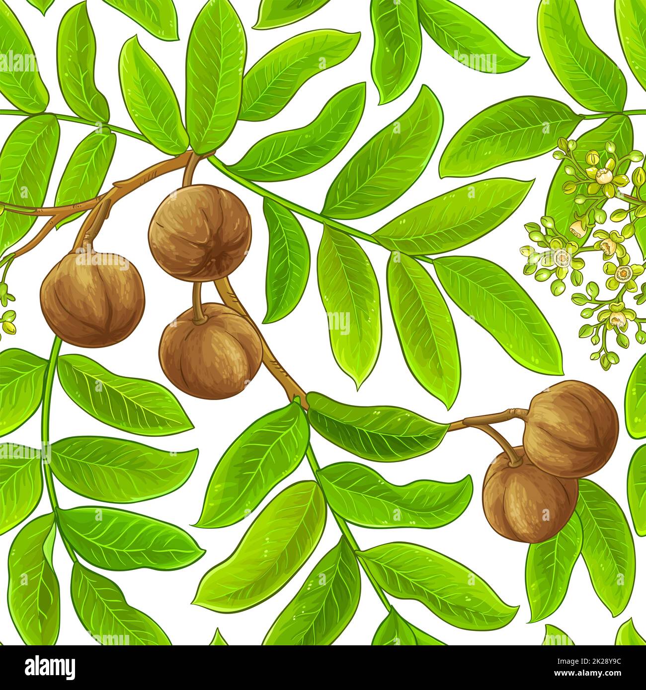 andiroba branches vector pattern on white background Stock Photo - Alamy