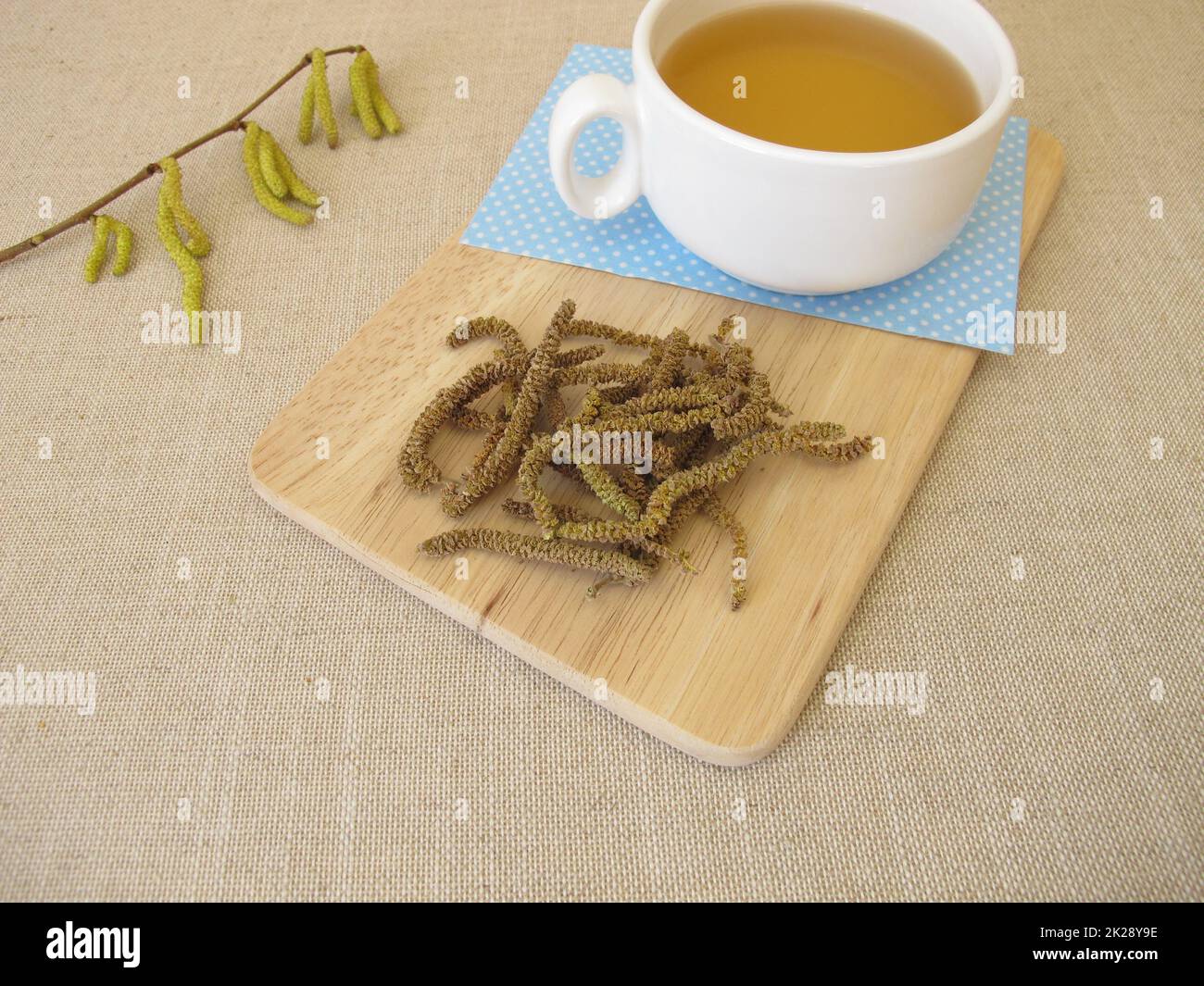 Herbal tea with hazel catkins, hazel flowers from hazel bush Stock ...