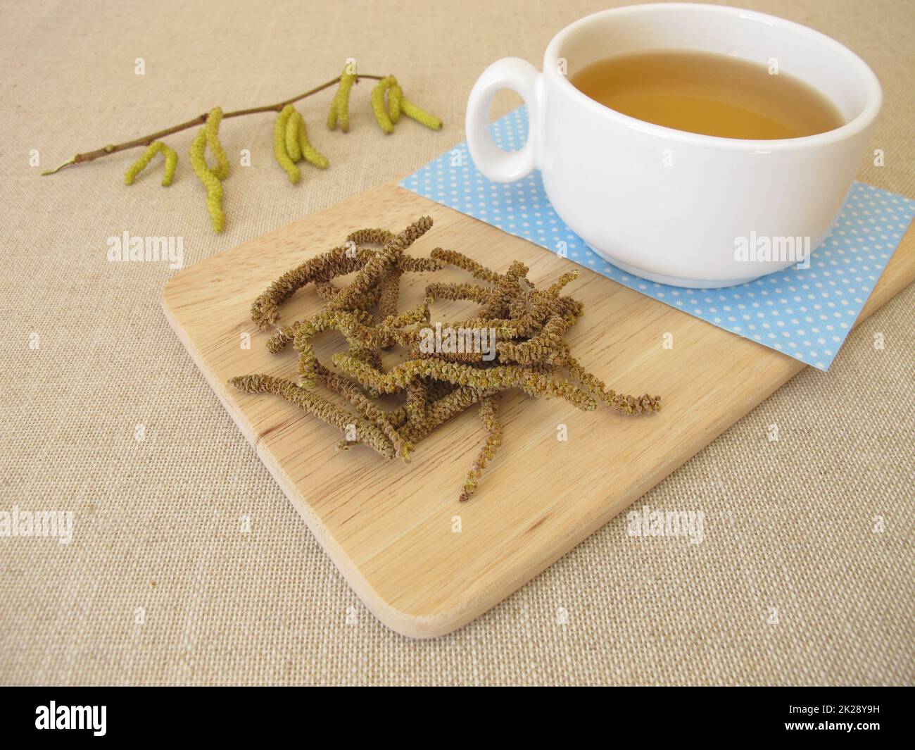 Herbal tea with hazel catkins, hazel flowers from hazel bush Stock ...