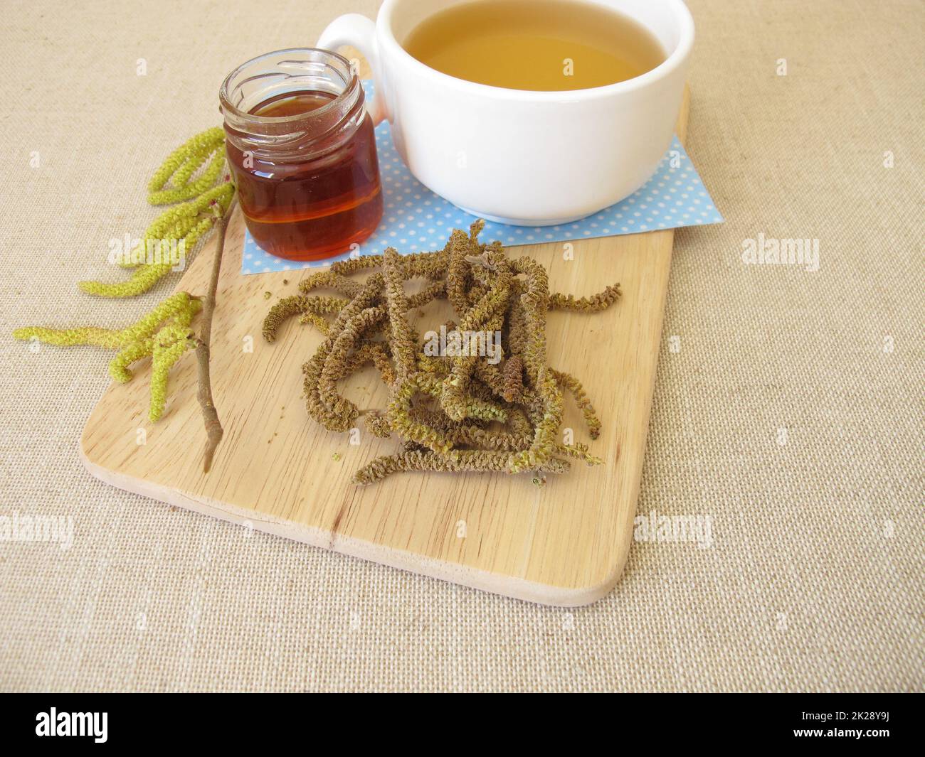 Herbal tea with hazel catkins, hazel flowers from hazel bush Stock ...