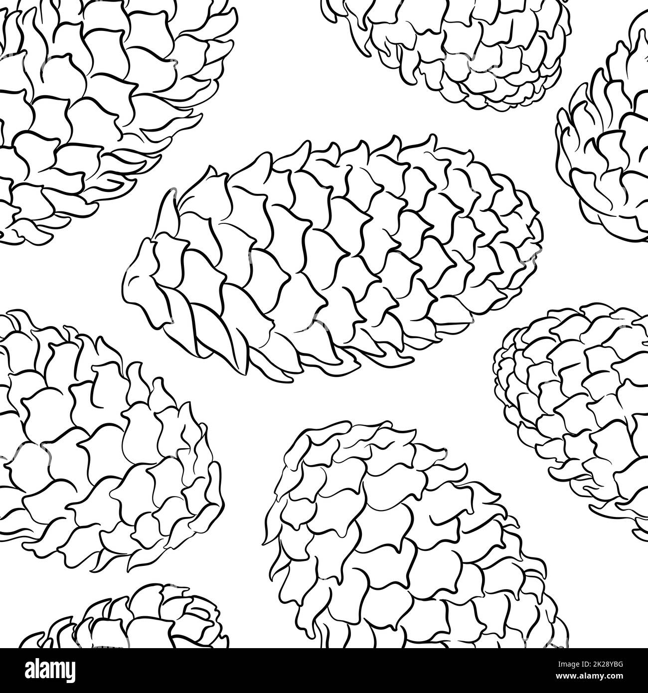 fir tree cones vector pattern on white background Stock Photo - Alamy