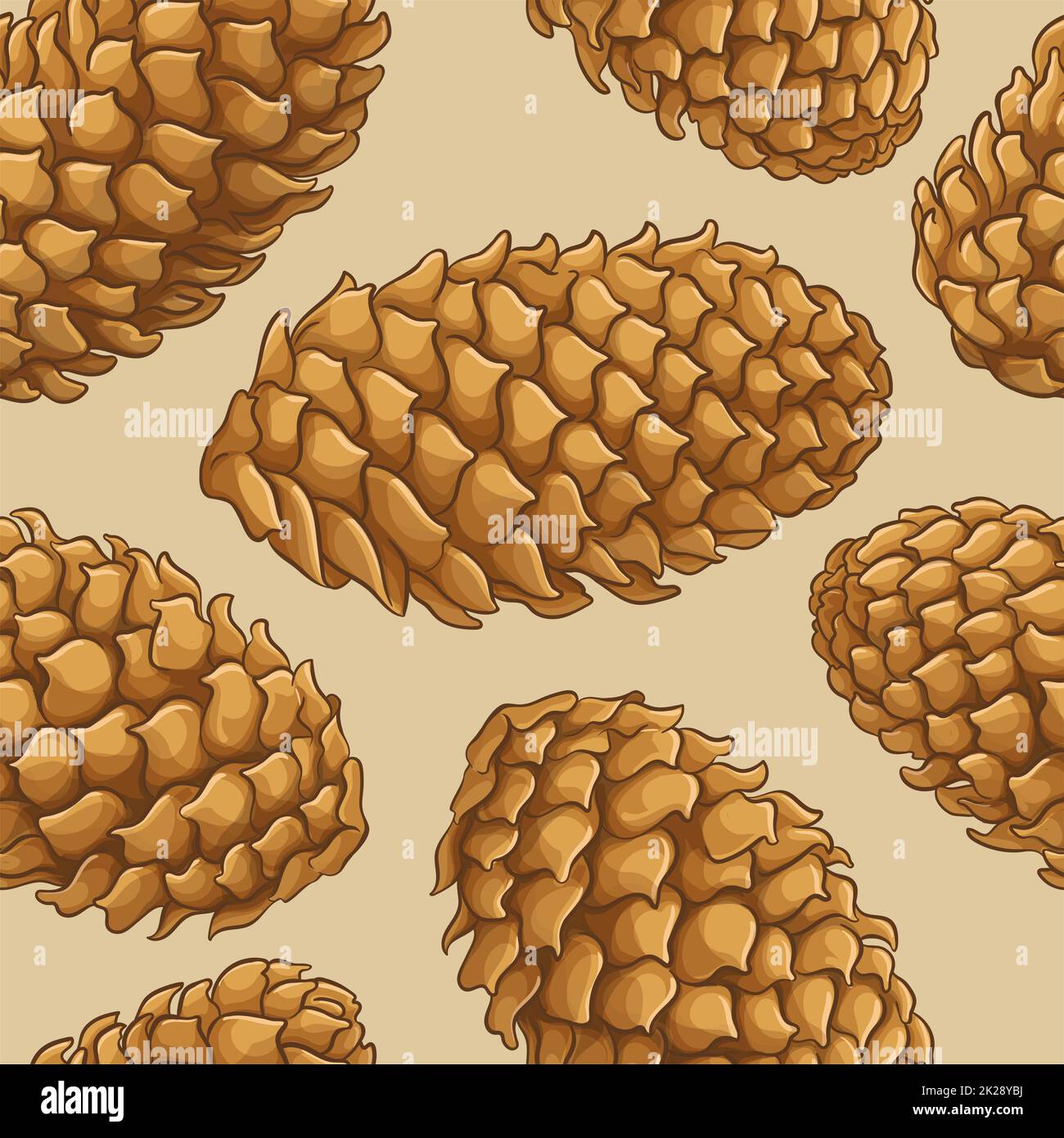 fir tree cones vector pattern on color background Stock Photo - Alamy