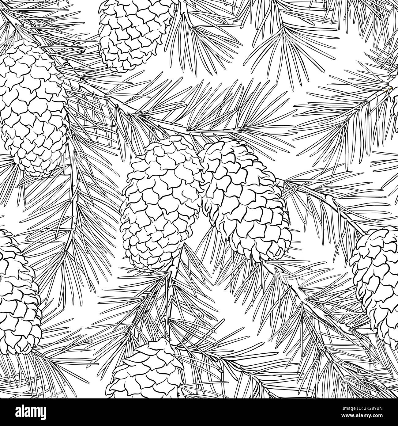 Fir tree vector hi-res stock photography and images - Alamy