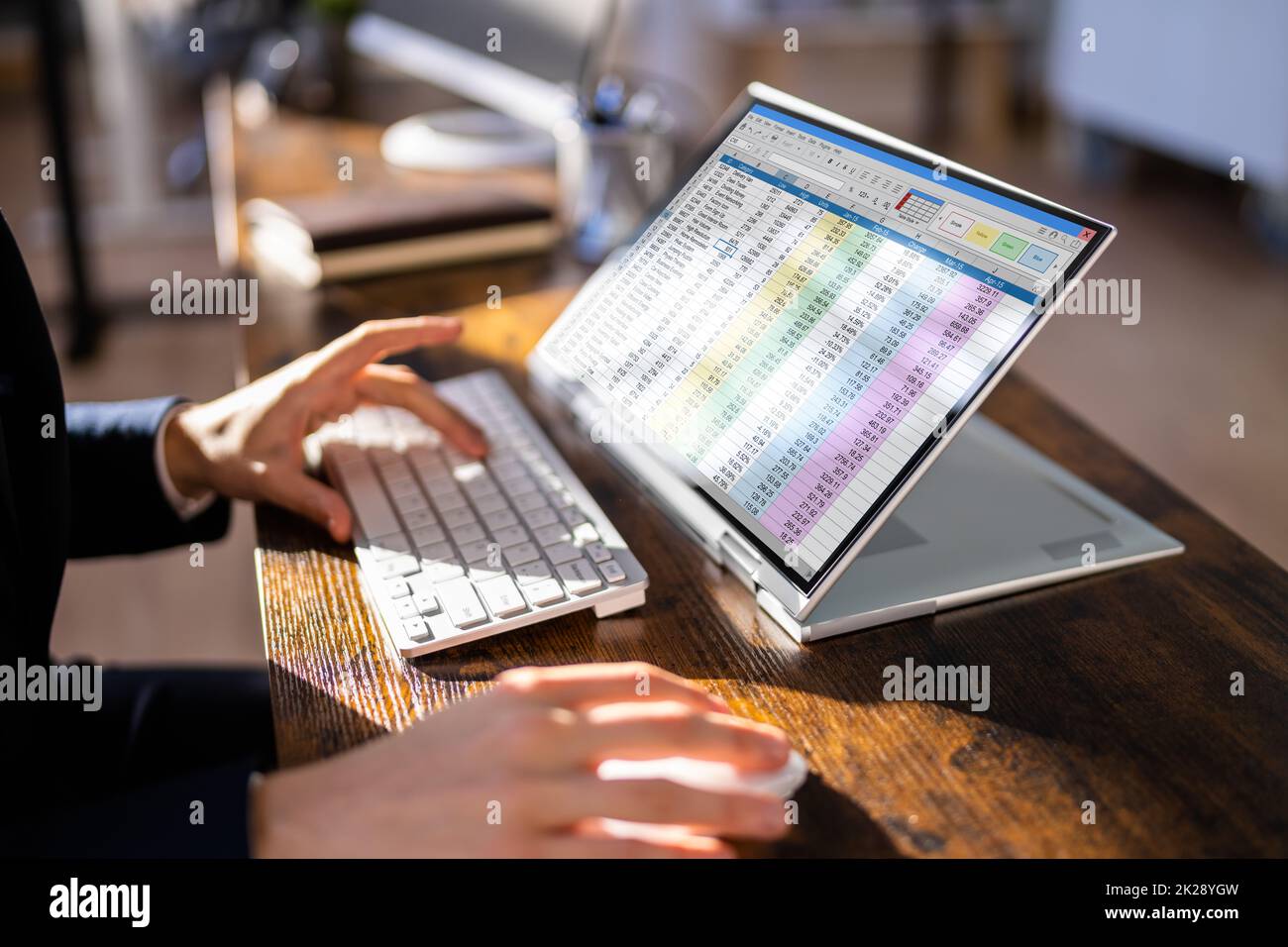 Electronic Spreadsheet Analyst Or Auditor Using Software Stock Photo ...