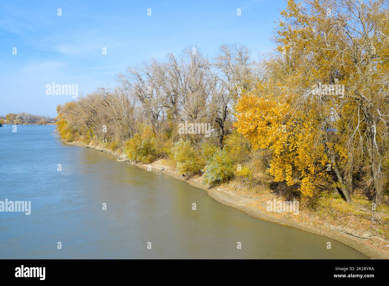 River bank trees hi-res stock photography and images - Alamy