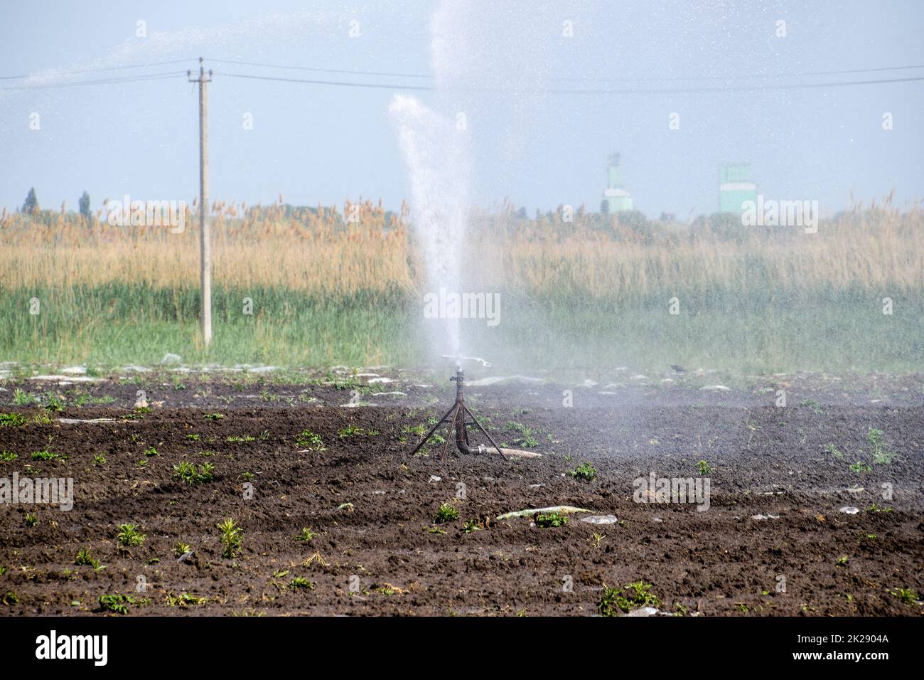 Irrigation system in field of melons. Watering the fields. Sprinkler ...