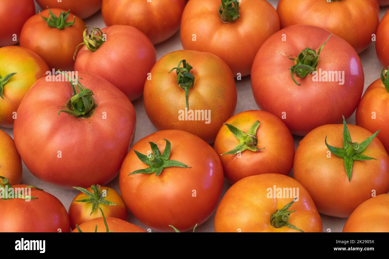Home grown organic and tasty tomatoes texture close up - Benefits of ...