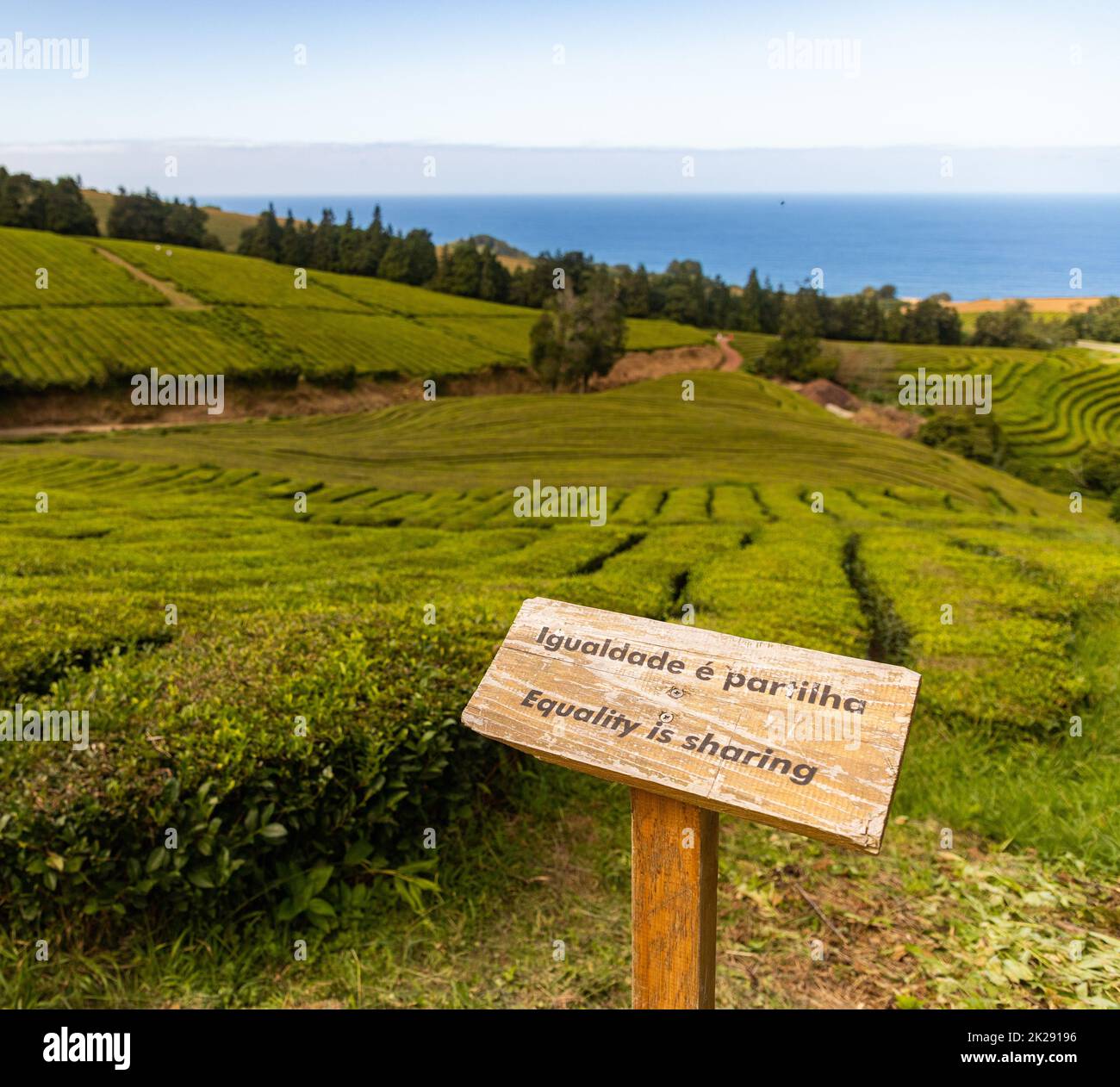 Gorreana Tea Plantation Sharing Sign Stock Photo - Alamy