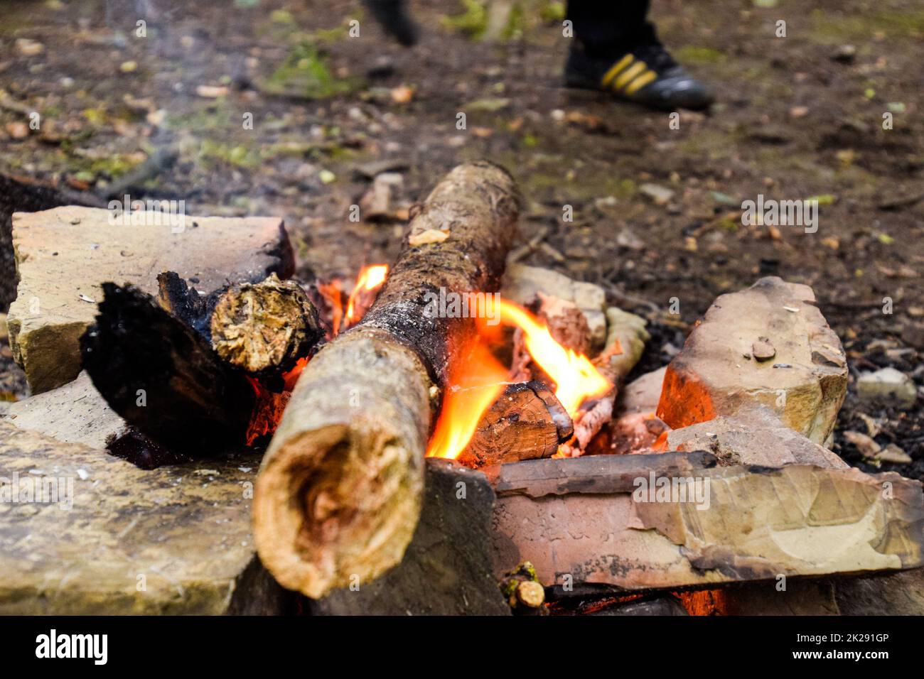 Stack firewood in bright hi-res stock photography and images - Alamy