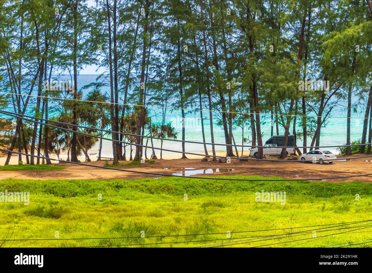 Tropical beach palm trees behind hi-res stock photography and images ...