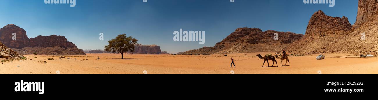 Wadi rum tree hi-res stock photography and images - Alamy