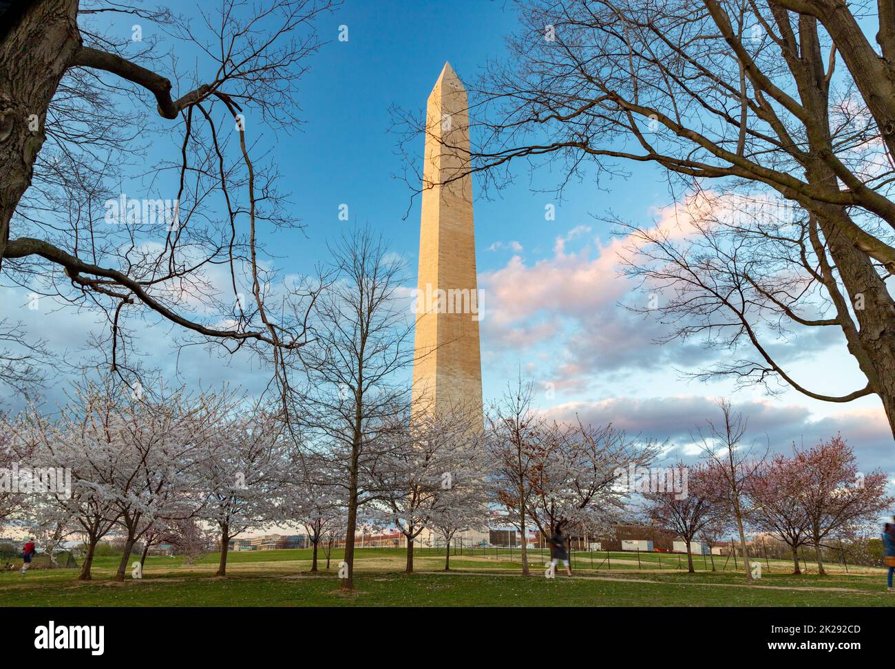 Washington monument cherry hi-res stock photography and images - Alamy