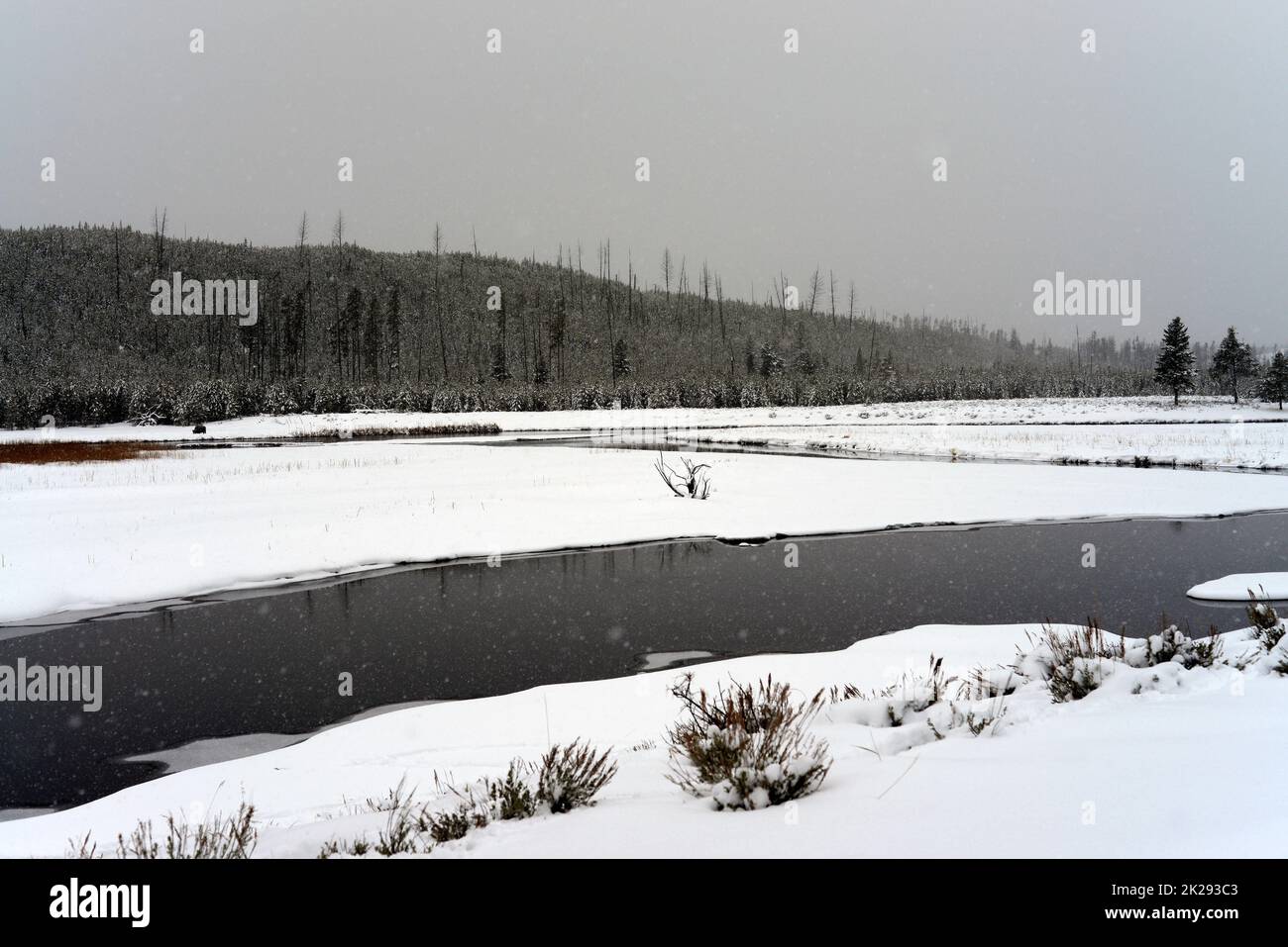 Madison river hi-res stock photography and images - Alamy