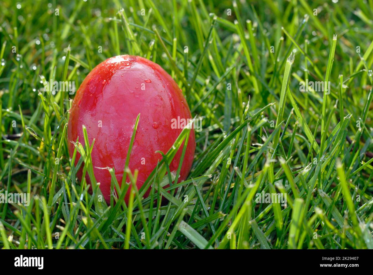 Symbolic images on the subject of Easter, eggs and Easter customs Stock ...