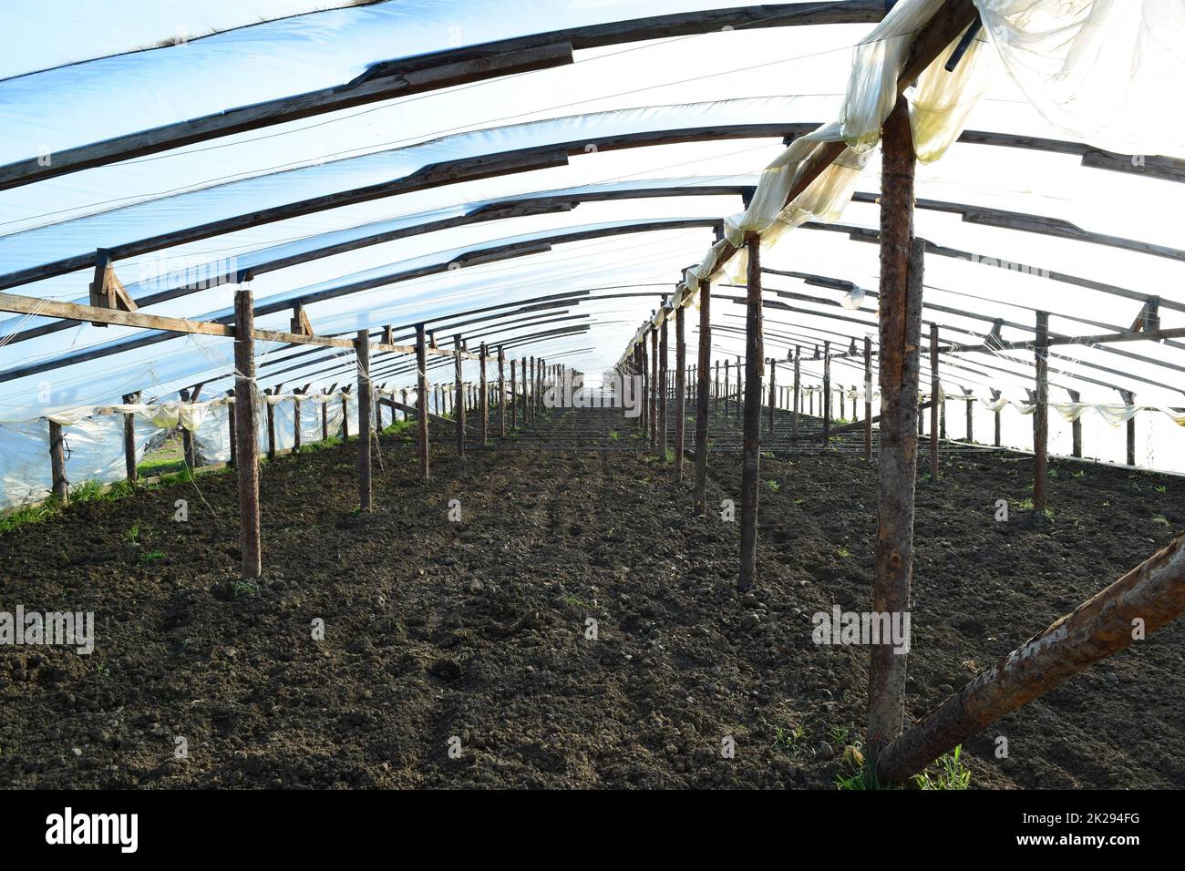 Greenhouses made of polymer film. Early spring in the garden ...