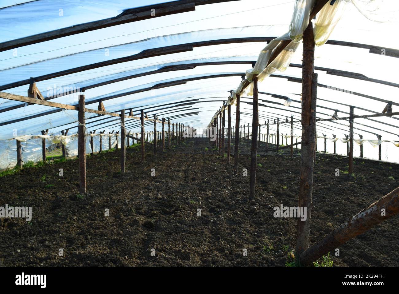 Greenhouses made of polymer film. Early spring in the garden ...