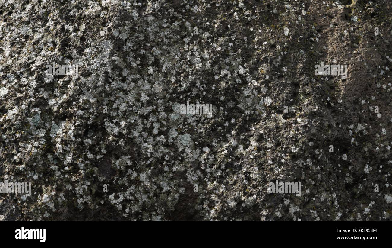 Close up base stone hi-res stock photography and images - Alamy