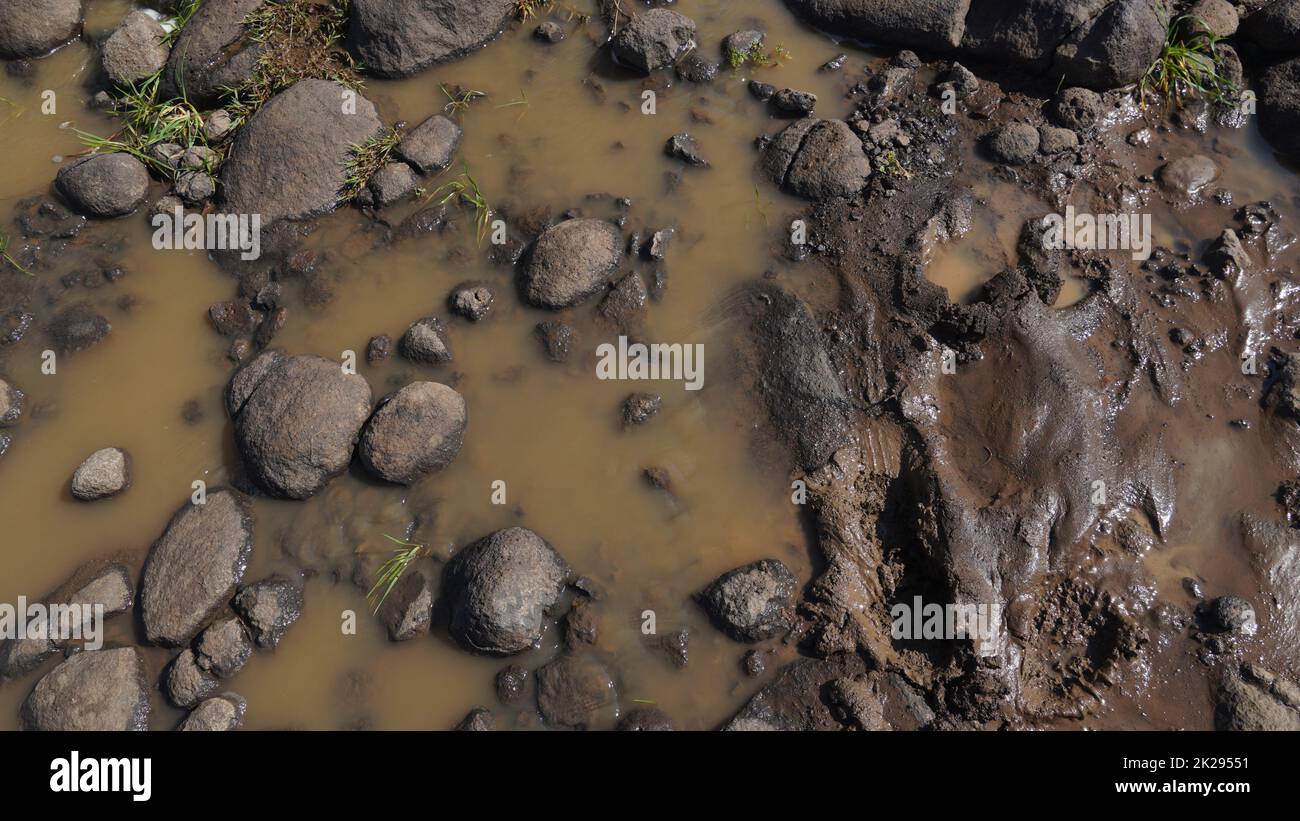 A way in the mud and puddles on the dirty road. Mud puddles after rain, dirty ground Stock Photo ...