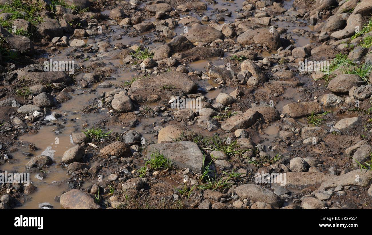 A way in the mud and puddles on the dirty road. Mud puddles after rain, dirty ground Stock Photo ...