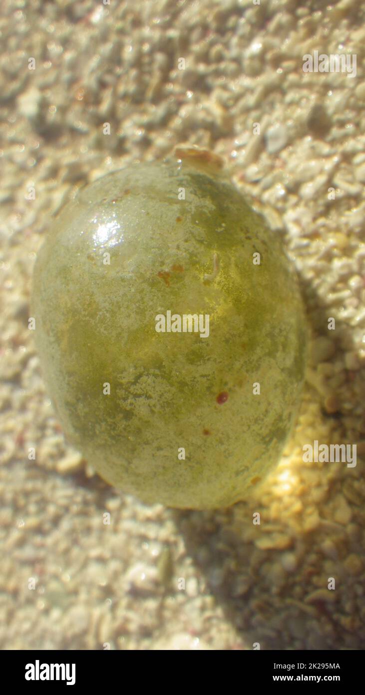 Round texture hi-res stock photography and images - Alamy