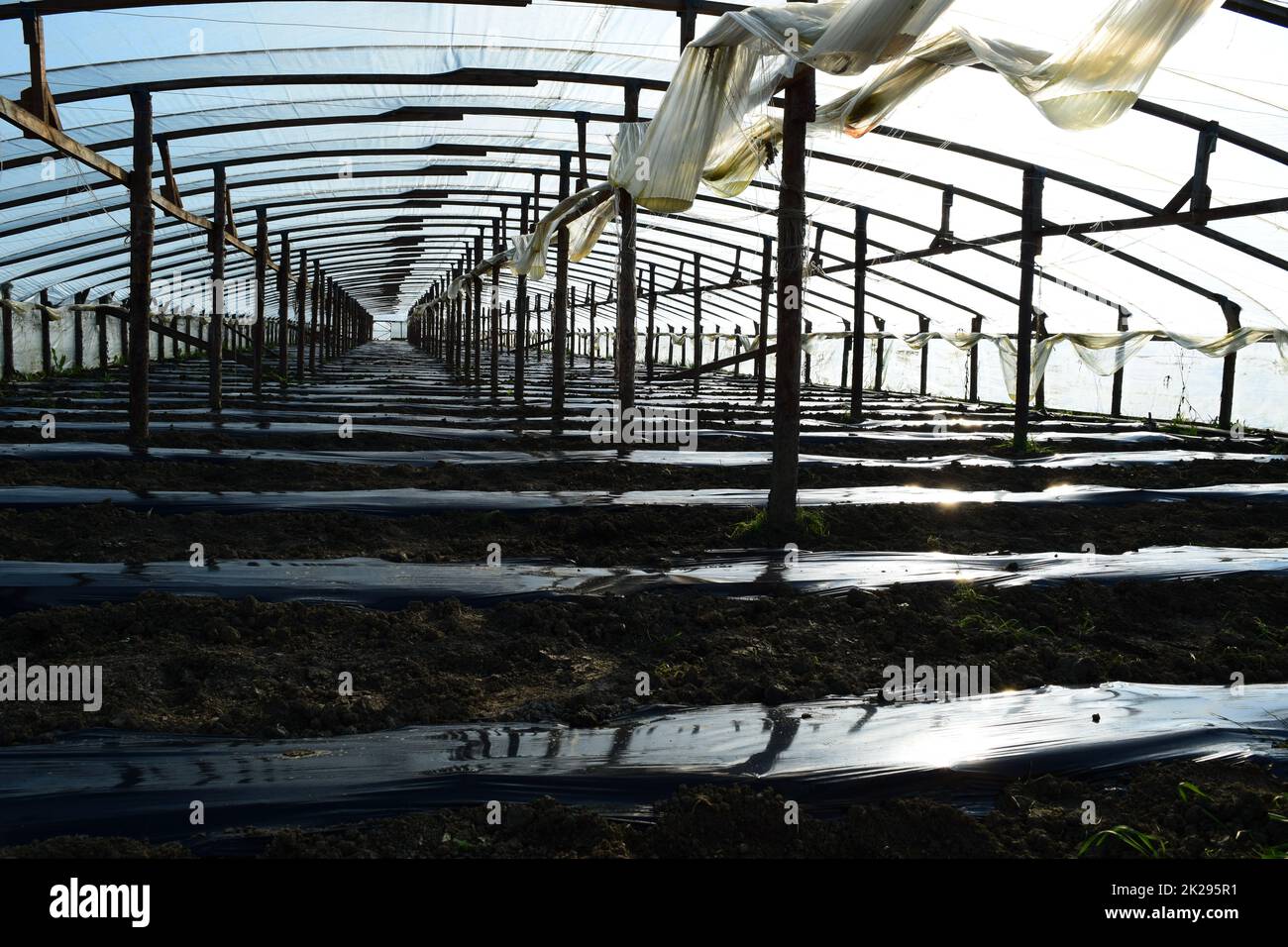 Greenhouses made of polymer film. Early spring in the garden ...
