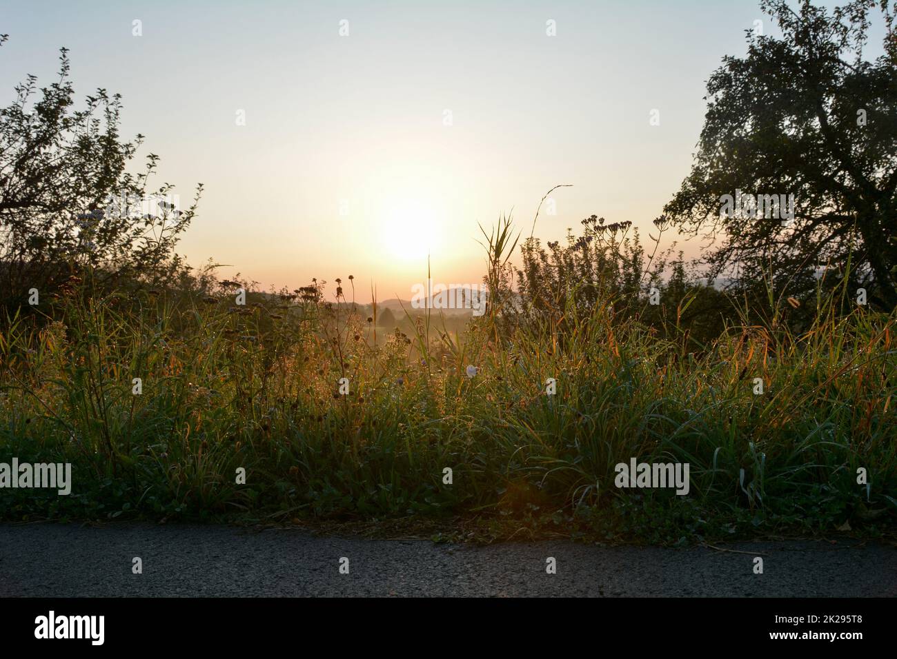 Meadow with sunrise hi-res stock photography and images - Alamy