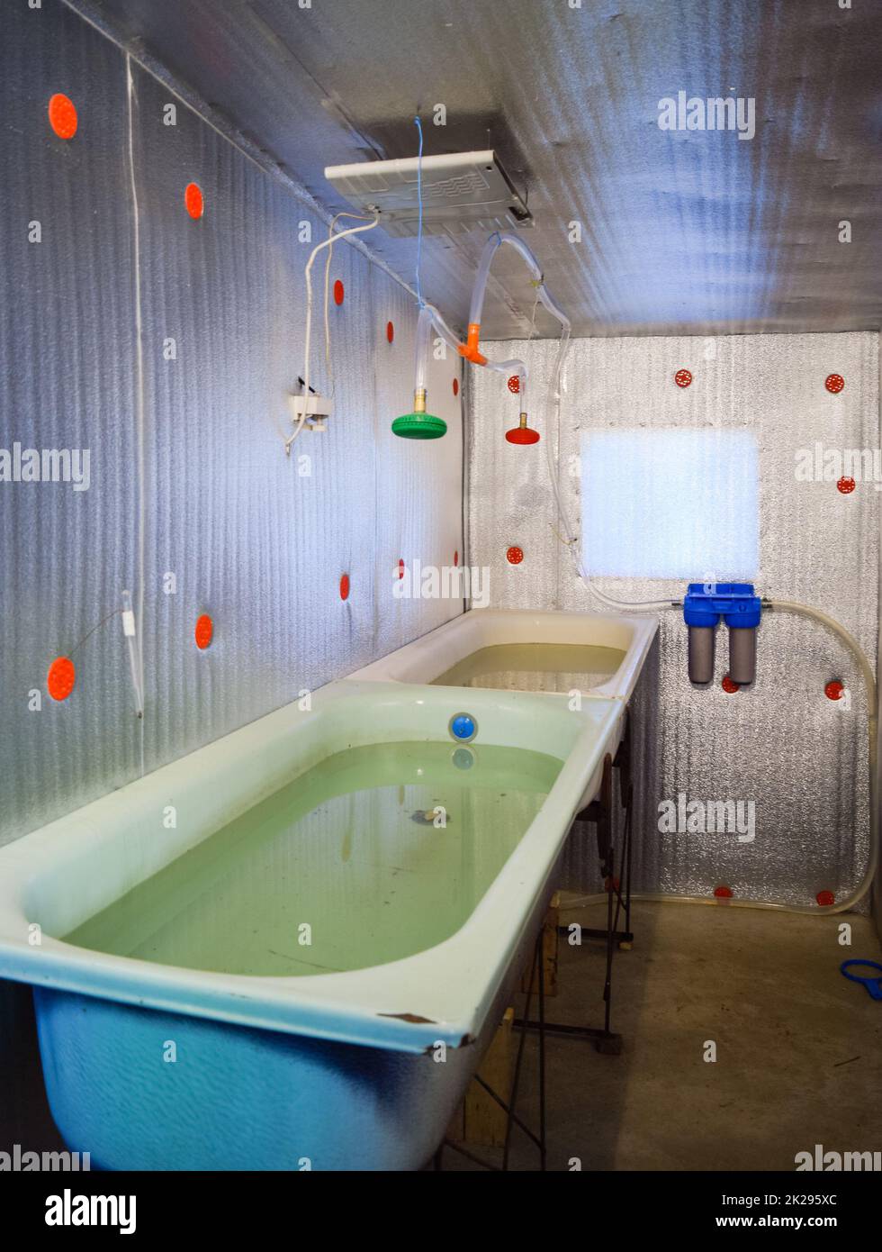 A room for growing fish fry. Bath for the fry. A fish-nursery Stock ...