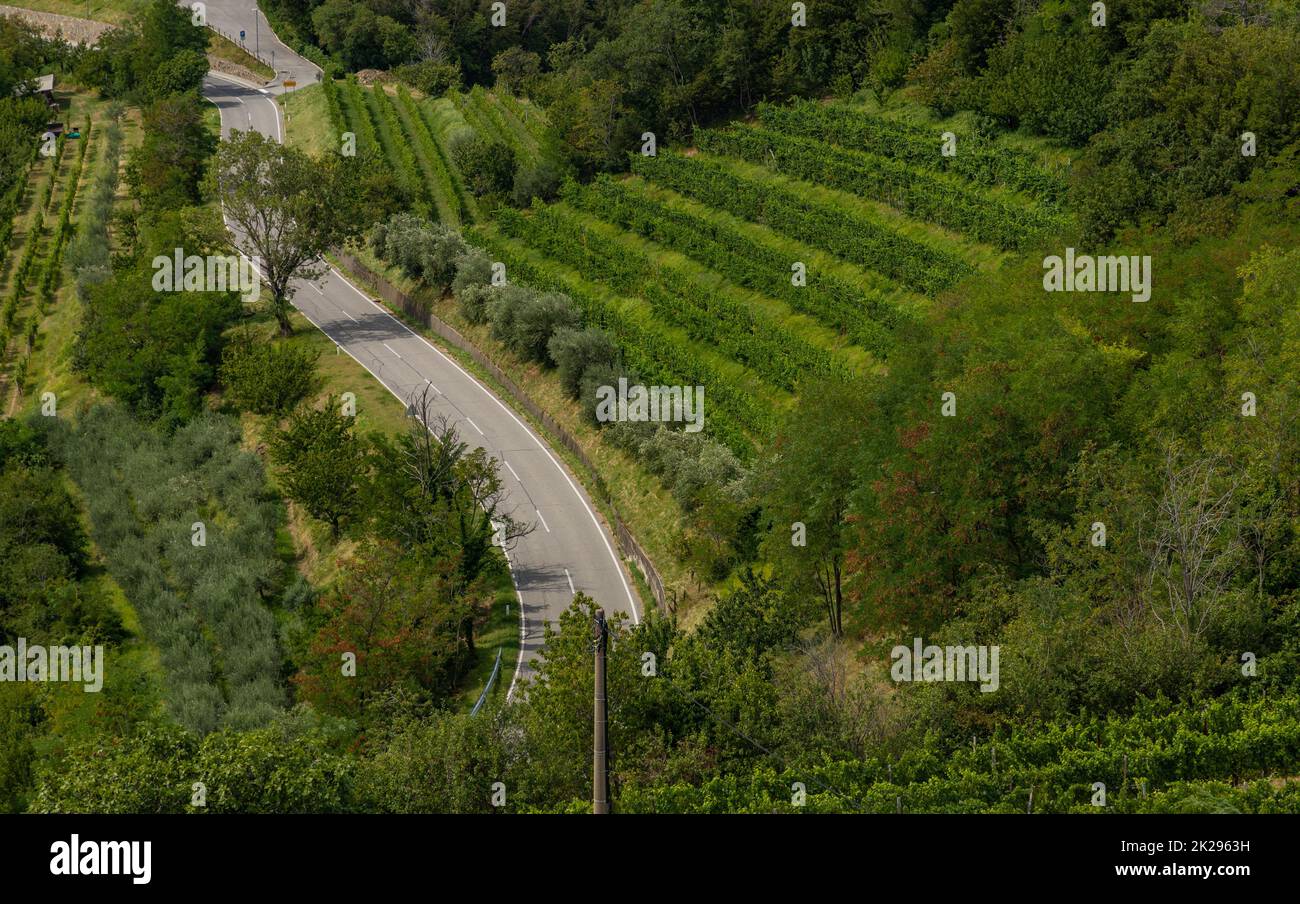 Goria ka brda hi-res stock photography and images - Alamy