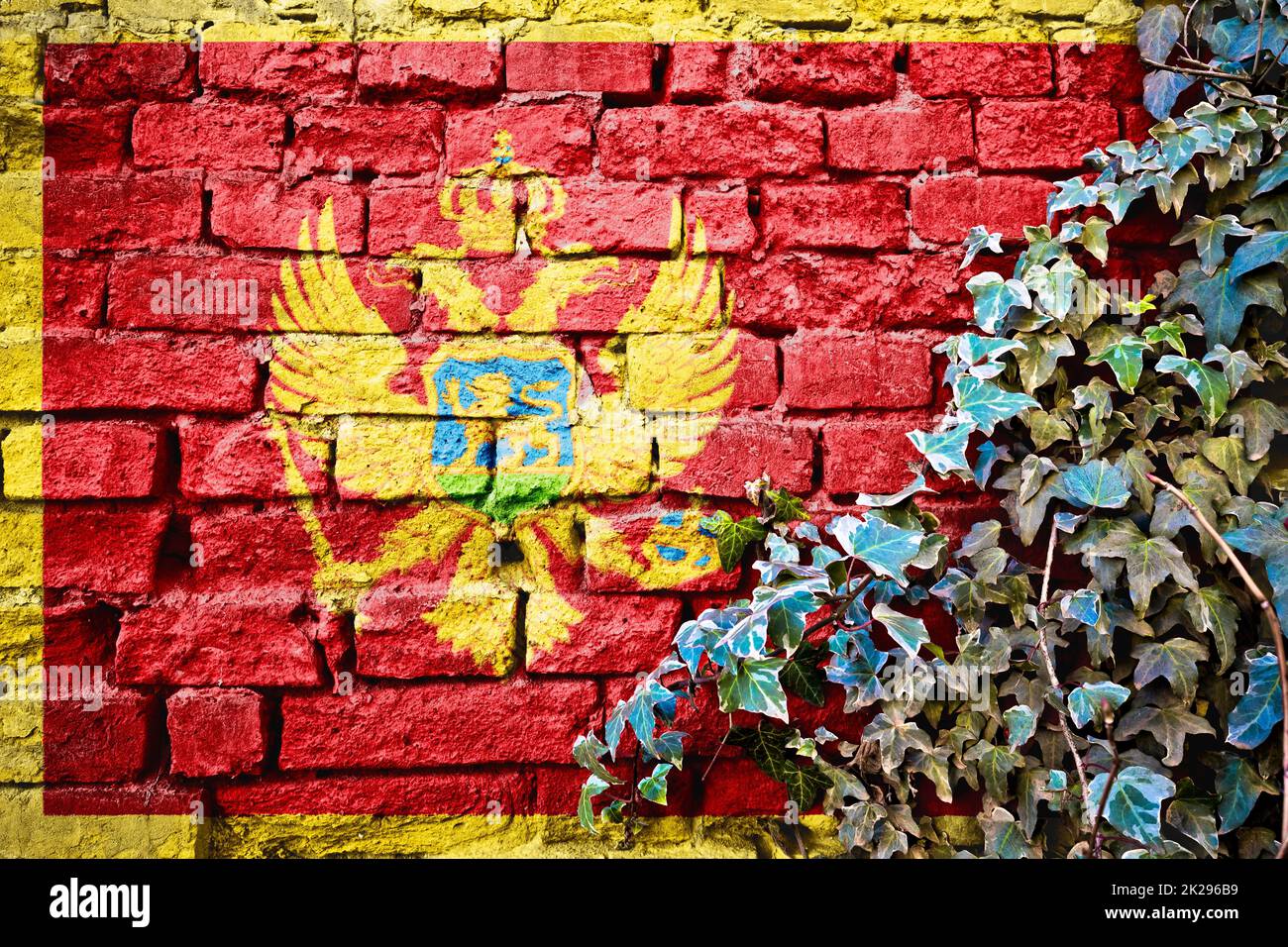 Montenegro grunge flag on brick wall with ivy plant Stock Photo - Alamy