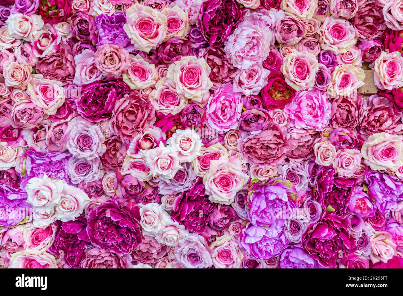 Roses background hi-res stock photography and images - Alamy