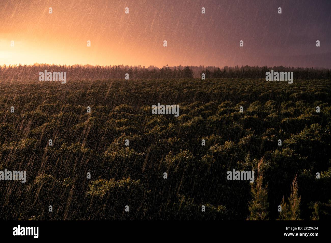 Rain cloud orchard hi-res stock photography and images - Alamy