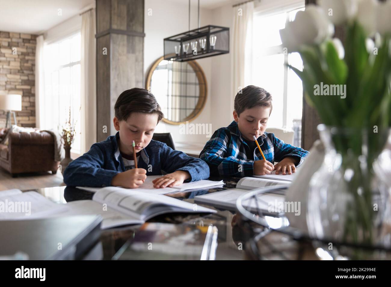 Two brothers doing homework hi-res stock photography and images - Alamy