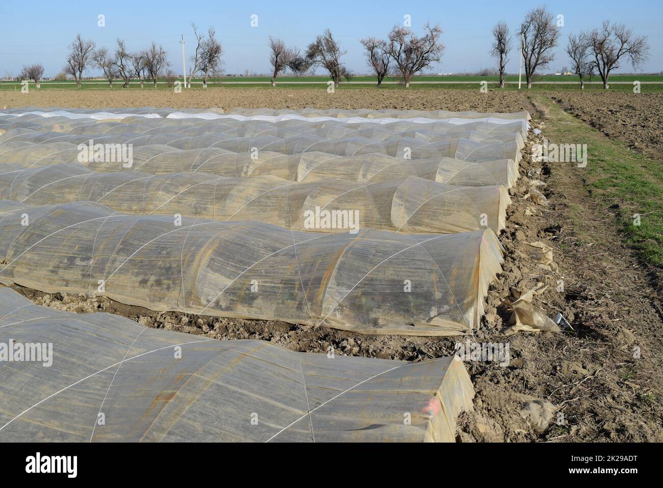 Greenhouses effect hi-res stock photography and images - Alamy