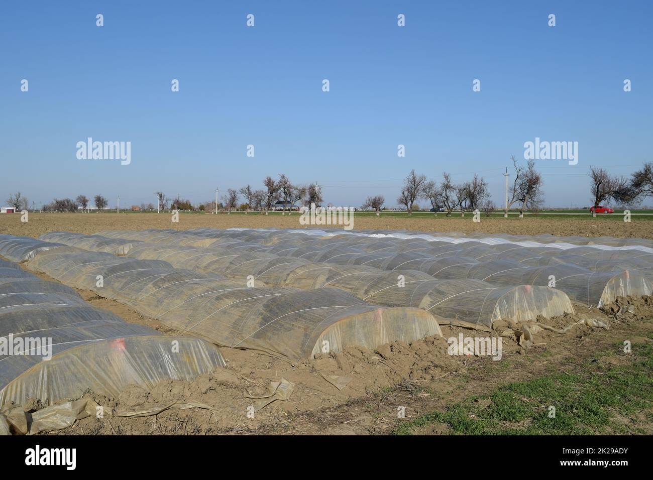 Greenhouses made of polymer film. Early spring in the garden ...