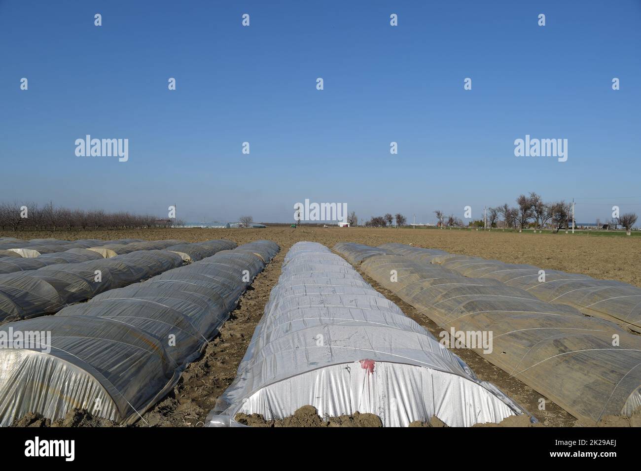 Greenhouses made of polymer film. Early spring in the garden ...