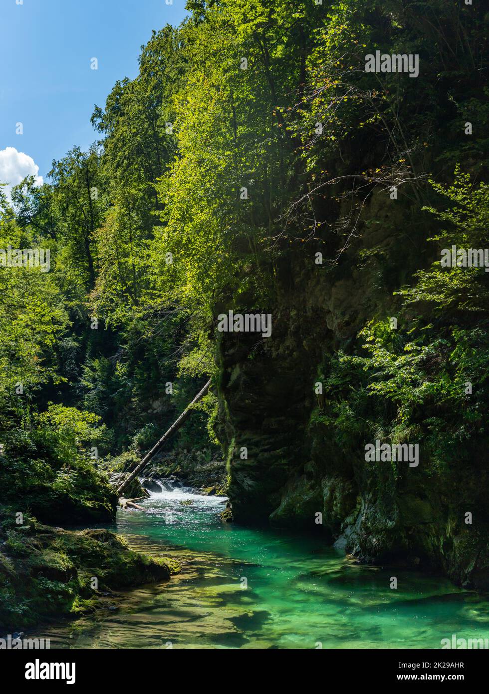 Gorge vegetation hi-res stock photography and images - Alamy