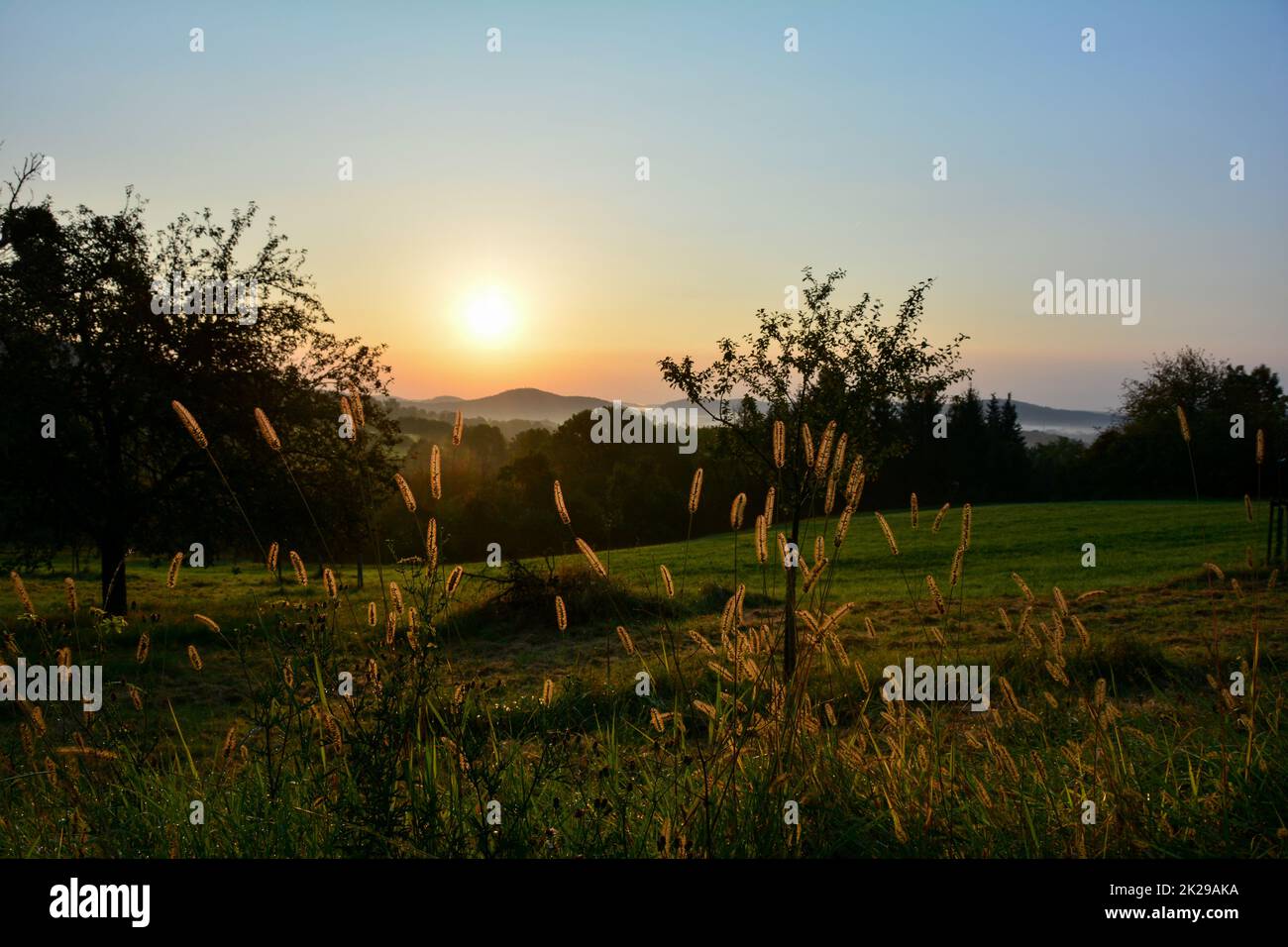 Green idyll hi-res stock photography and images - Alamy