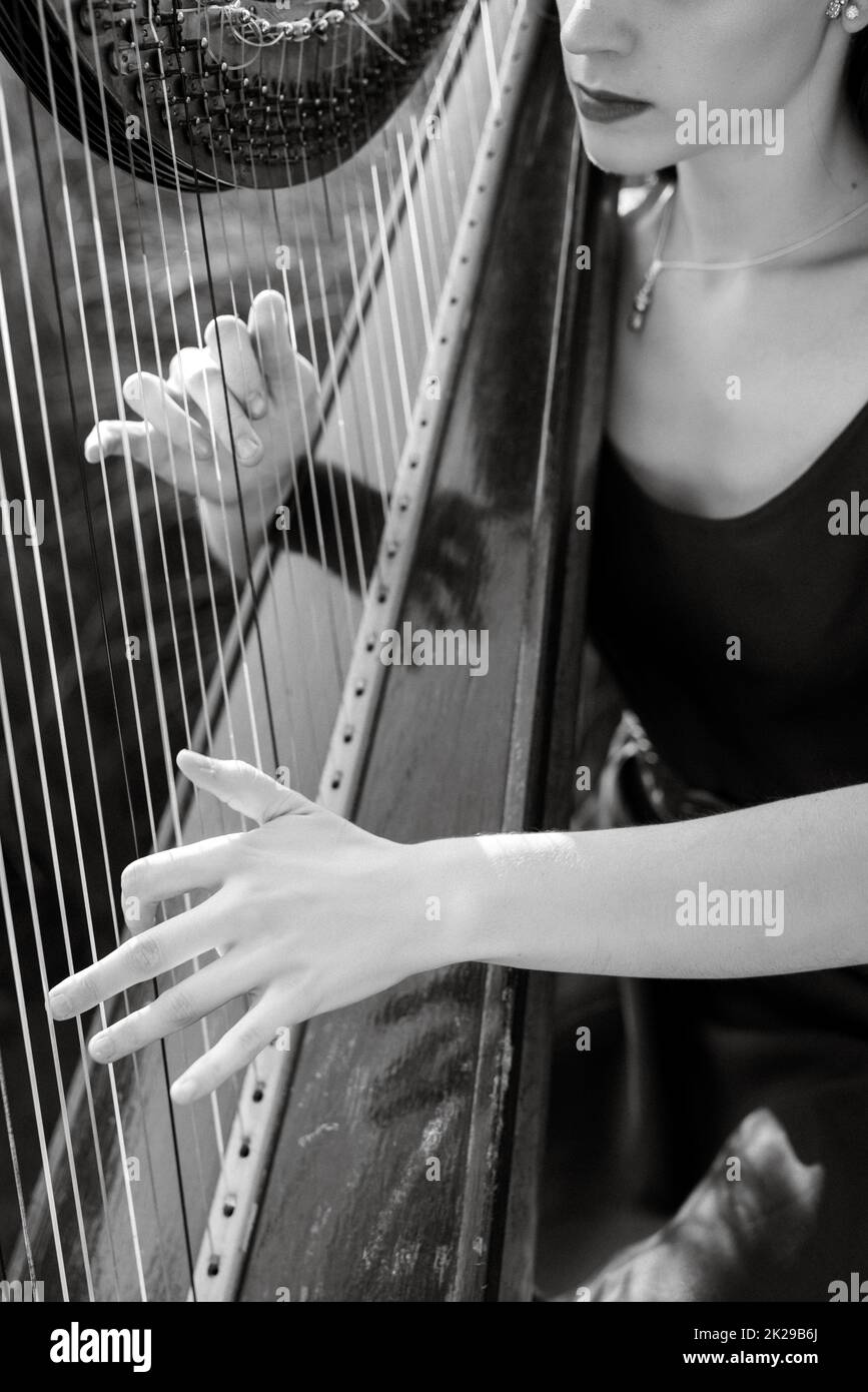 harpist playing an old harp Stock Photo - Alamy