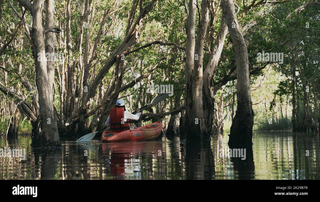Back young adult woman paddling kayaking canoe on a lake on summer day ...