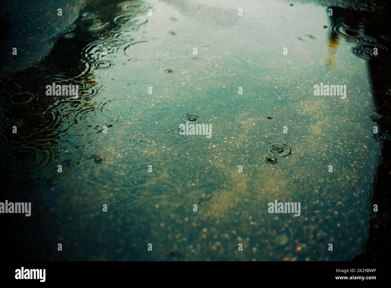 Raindrops fall on the water surface of a puddle on the street in the ...