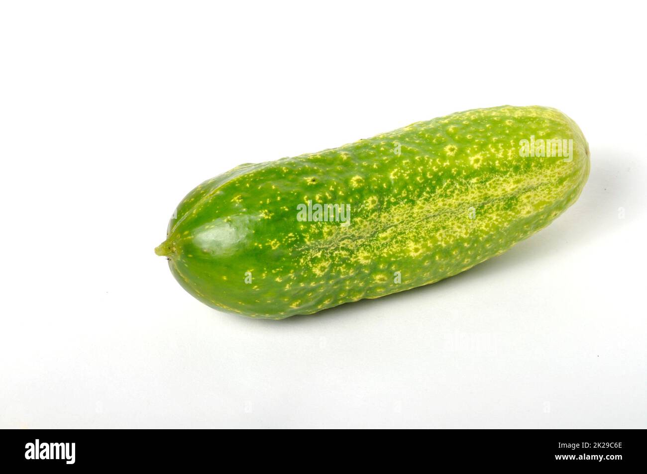 Small cucumber on a white background Stock Photo - Alamy